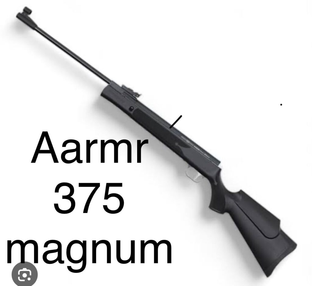 AARMR 375 Magnum Air Rifle .177 | Buy India